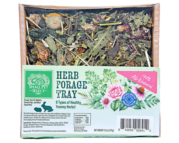 Forage Trays - Small Pet Select UK