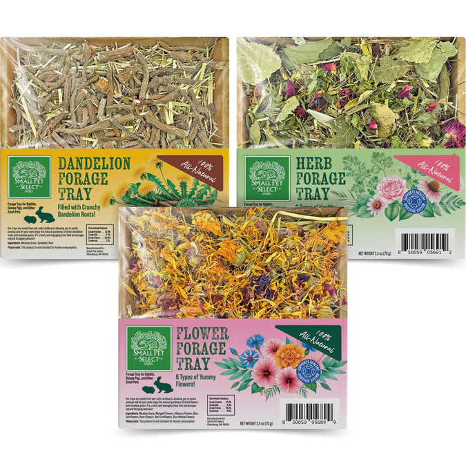 Forage Tray Bundle - Variety of Healthy Treats for Small Pets – Small ...