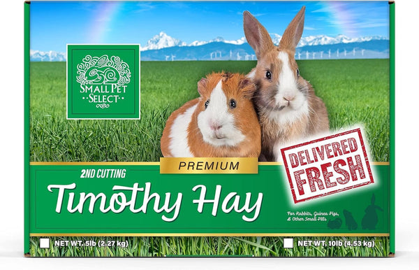 Bunny Starter Pack - All Ingredients Sourced in the USA - Small Pet ...