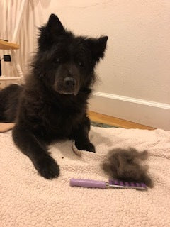 HairBuster Comb - Small Pet Select UK