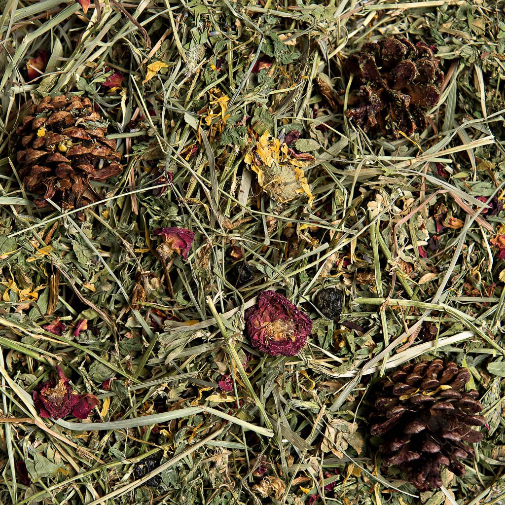 Gourmet Hay - A Great Treat Hay! - Small Pet Select UK